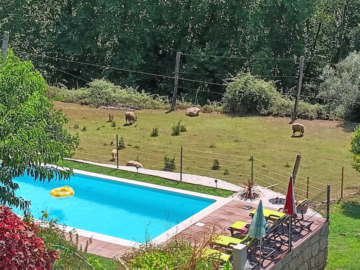 Casa Da Portazinha - Amares