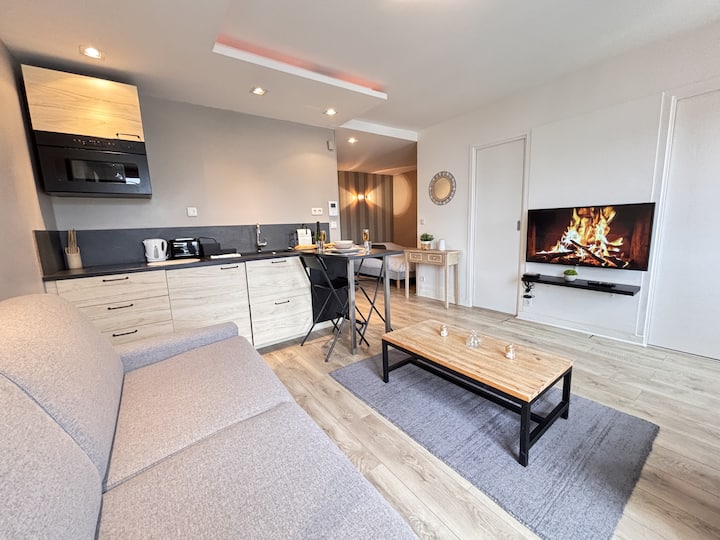 L'écrin Urbain Studio Chic Et Lumineux Avec Balcon - Reims