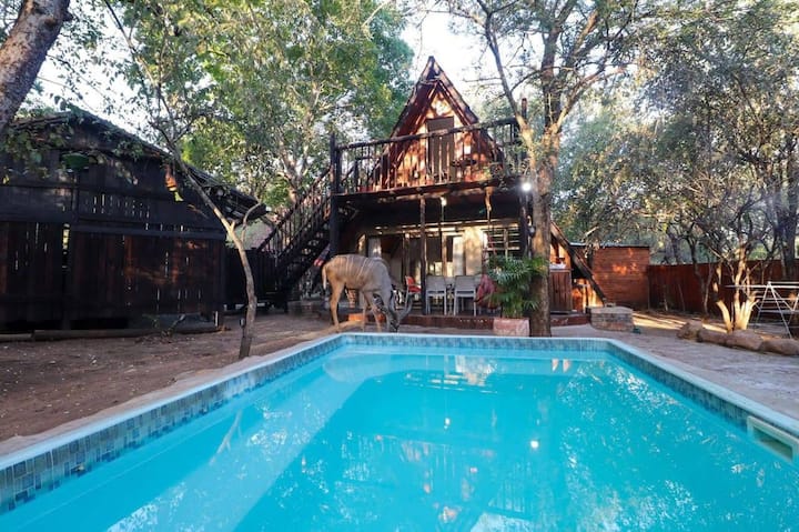Kruger, Marloth Park, Self- Catering Accommodation - Marloth Park