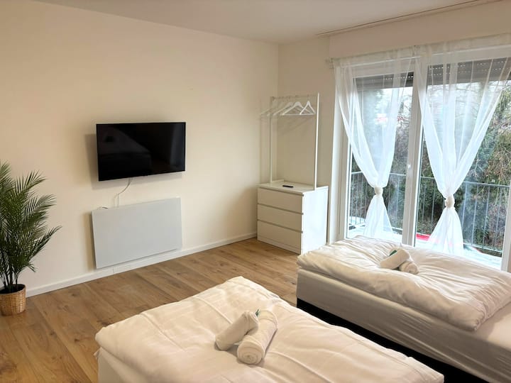 Kaiserslautern Apartment 3 - Kaiserslautern