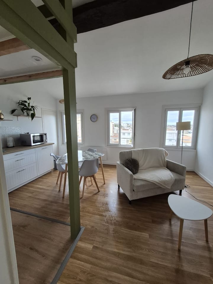 Appartement Entièrement Rénové Et Très Lumineux - Niort
