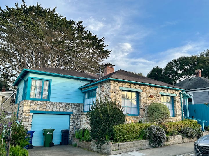 Cypress In Sunlight - Pacific Grove, CA