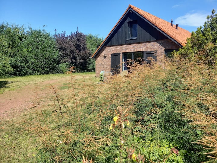 Vakantie Woning Twente - Oldenzaal