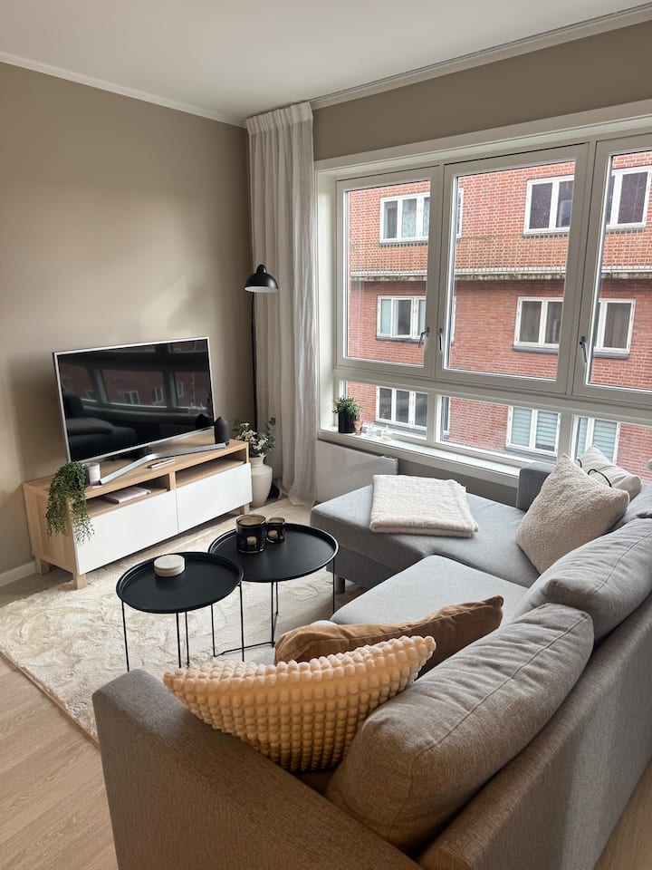 Moderne Og Lys Studioleilighet M/takterrasse - Oslo