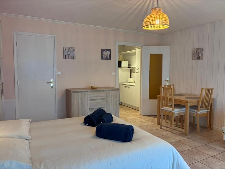 Studio Du Bord De Mer -à  Deux Pas Du Centre - Roscoff