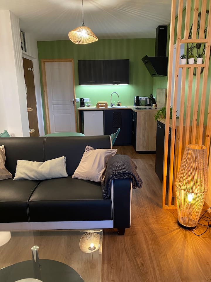 Appartement Cosy – Centre D’aurillac - Aurillac