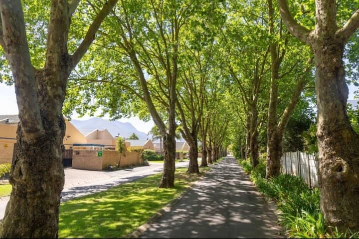 Cozy Family Home With Garden And Braai - George - George