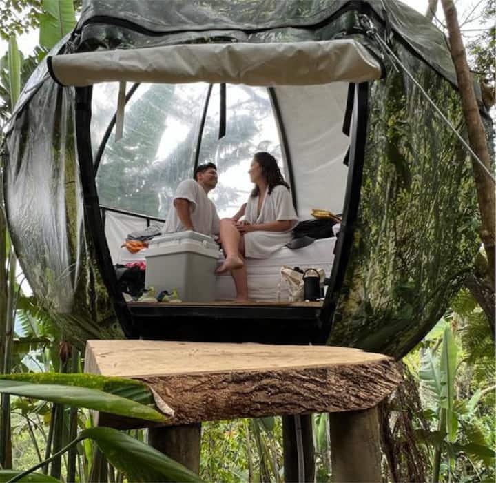 Nido Colgante En Quindío - Génova