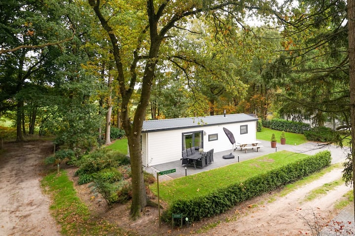 Boszicht 1 - Drenthe