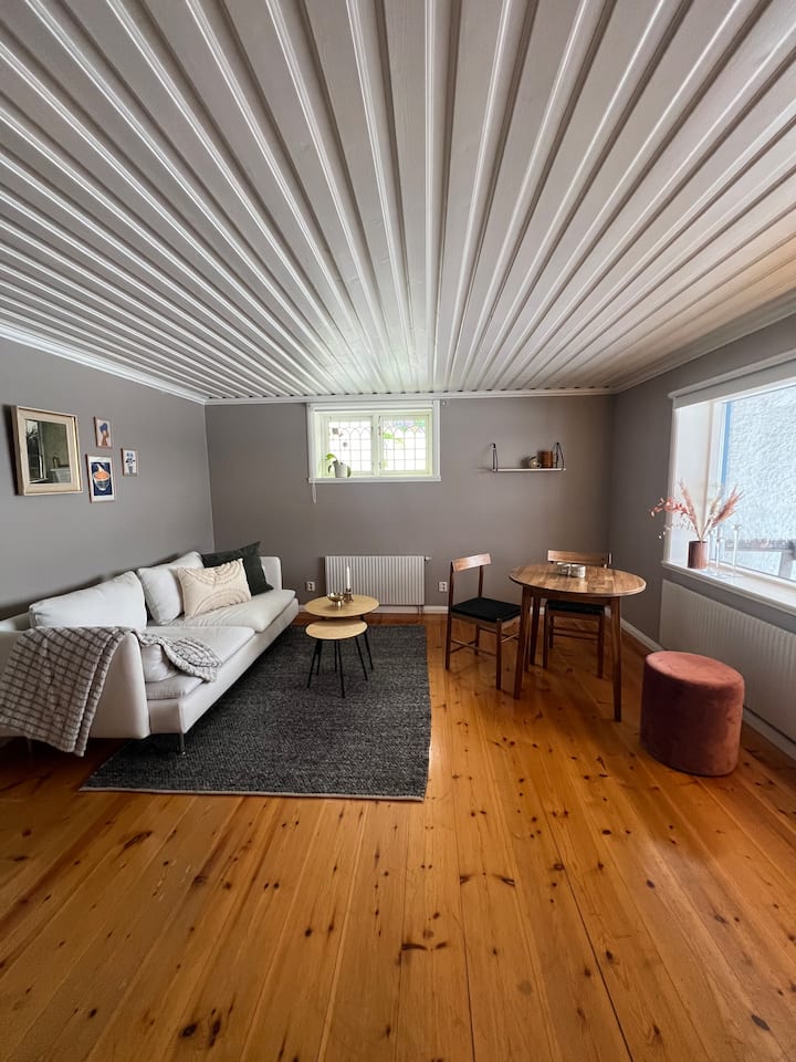 Lägenhet Med Sjöutsikt Och Uteplats - Rättvik