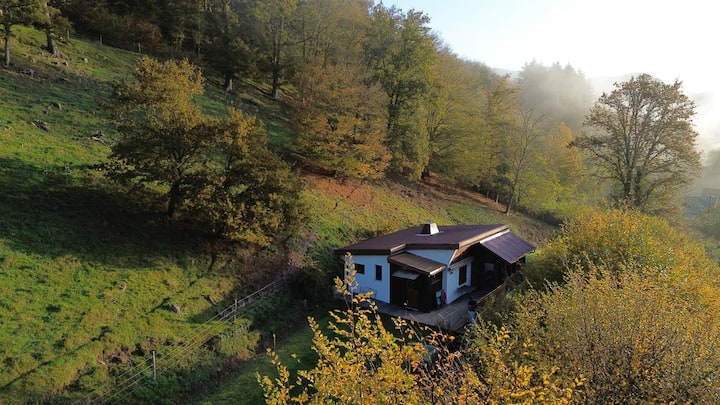 Chalet Cosy En Lisière De Forêt - Thann