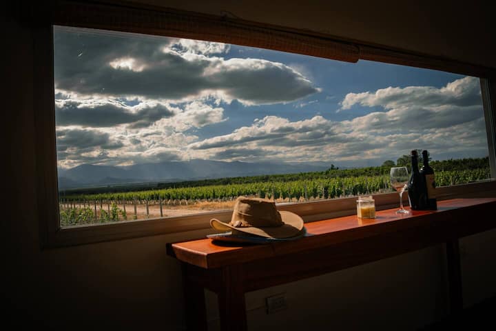 Loft Entre Viñedos - Argentina