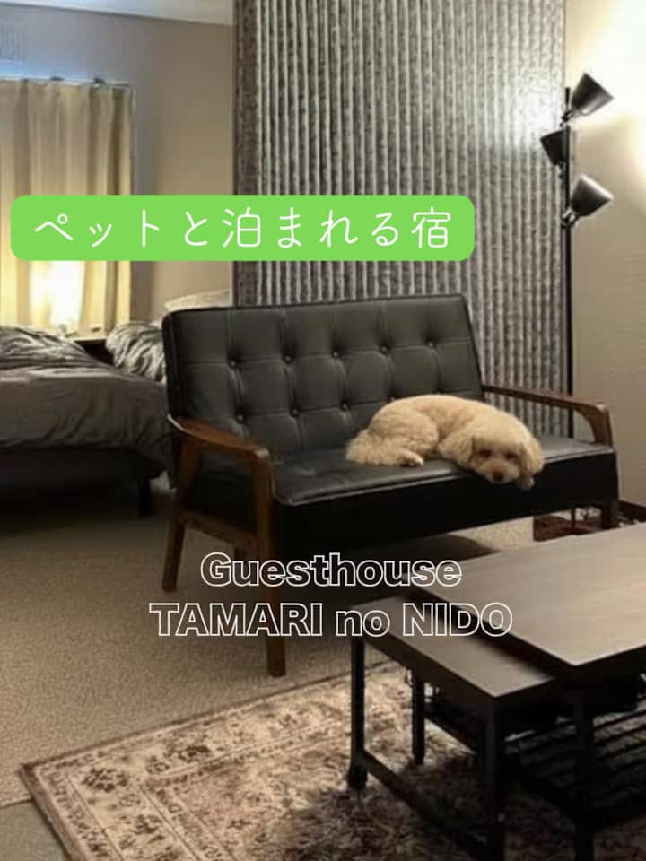 【ペット同伴歓迎】北見市繁華街へ徒歩3分！手ぶらで泊まれる愛犬アメニティ＆ケージ完備／無料wi-fi - 北見市