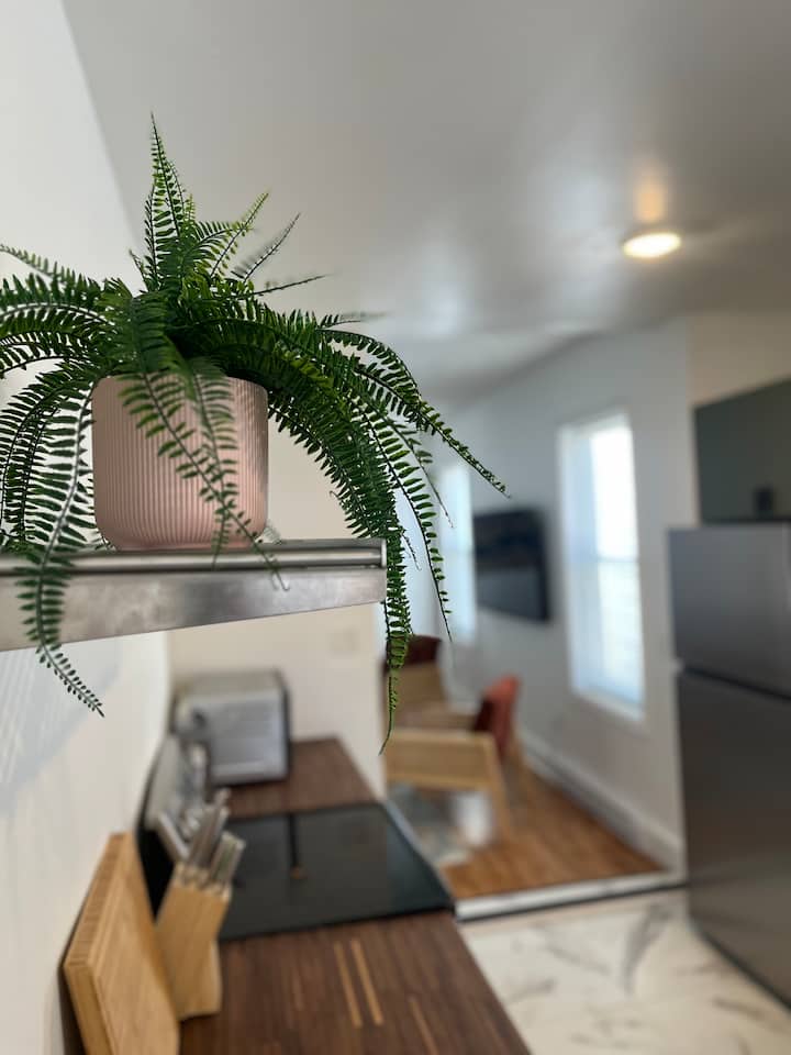 Stylish 2br Near Halifax Commons & Downtown! - Halifax