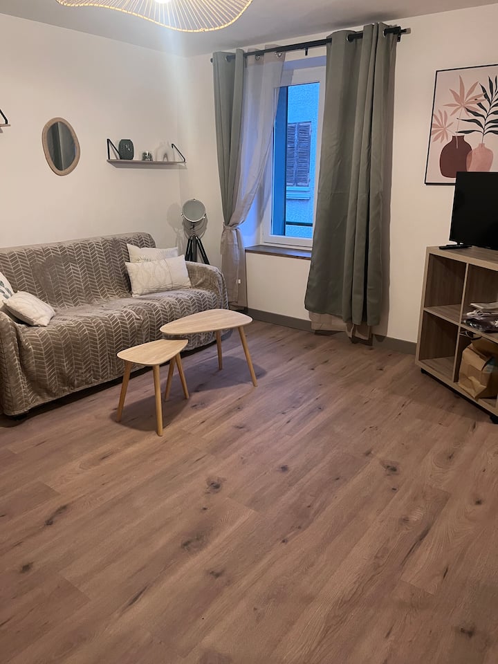 T2 Cosy Climatisé Avec Parking Gratuit - Anjou
