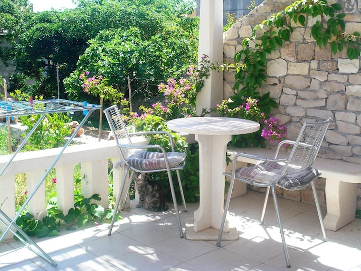 Cottage Ivana Bol Center - Croatia