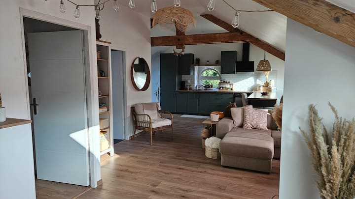 Cocon De Charme Au Cœur Du Quartier Thermal - Vittel