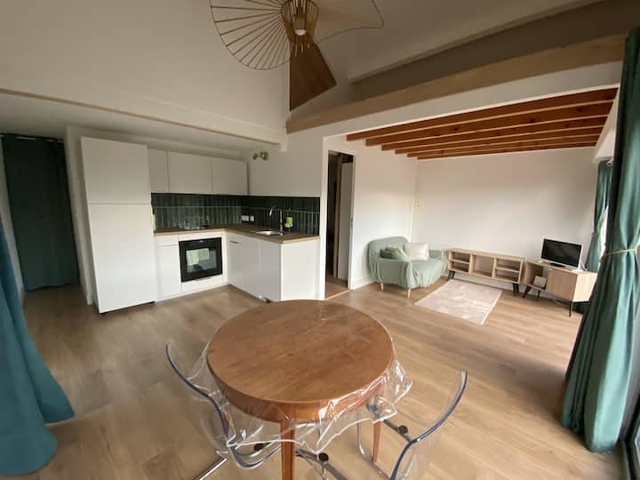 Loue T2 Meublé Rénové. Calme, Jardinet. Gradignan. - Gradignan