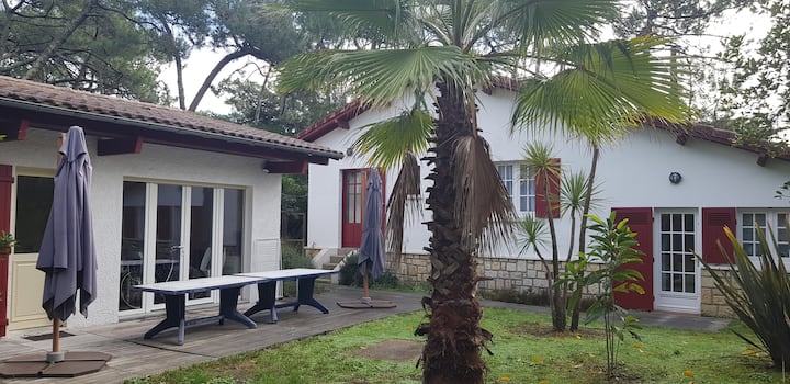 2 Maisons Proches Du Phare, Du Bassin, De L'océan - Lège-Cap-Ferret