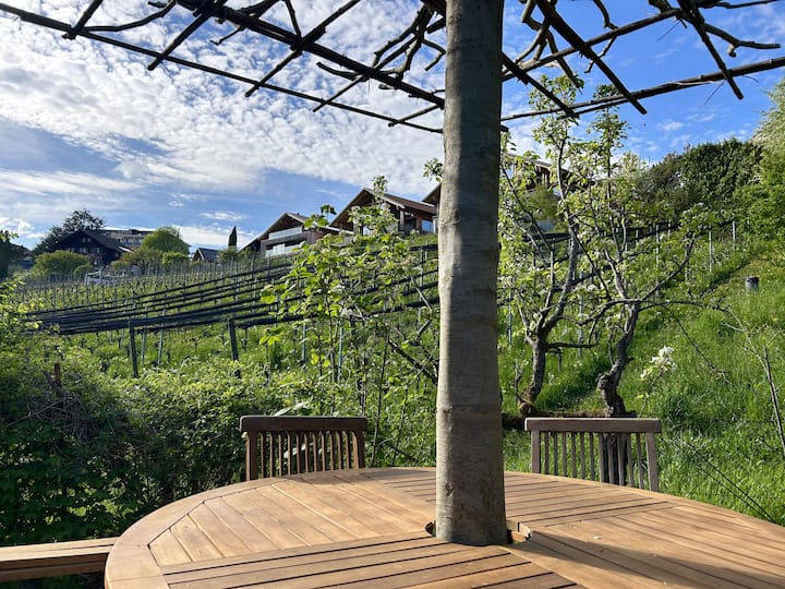 Boutique-buhl. - Thun