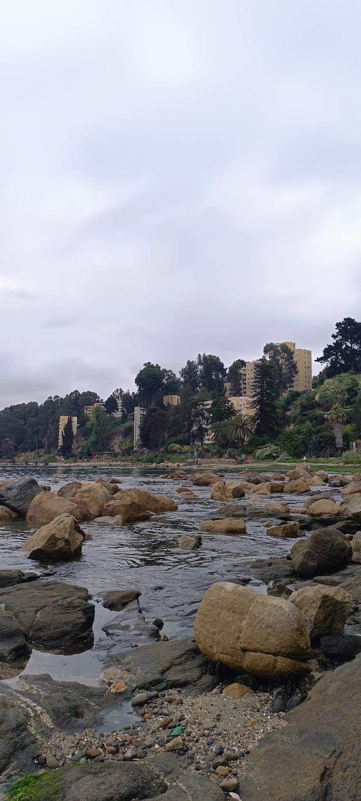 Bahía Pelícanos Lugar De Mágico Descanso - Quintero