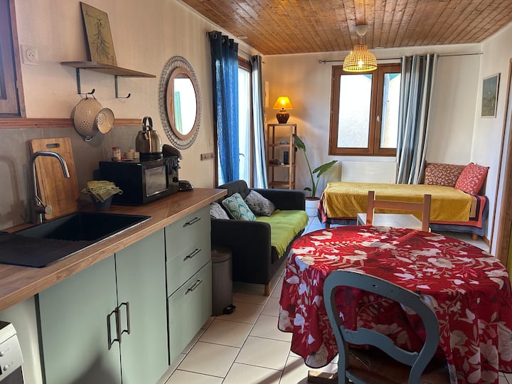 Petite Maison Mitoyenne Avec Jardin - Lacanau