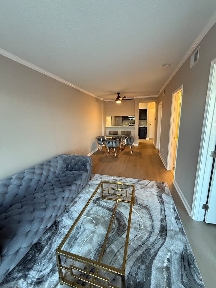 Modern Renovated Condo In Five Points–monthly Stay - Columbia