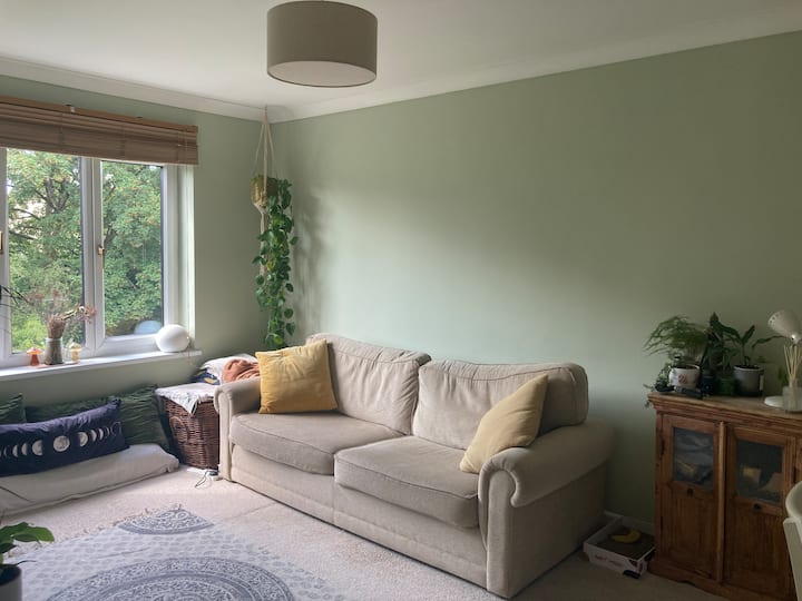 Cosy Quiet Flat With Bristol-bath Cycle Path View - Bristol
