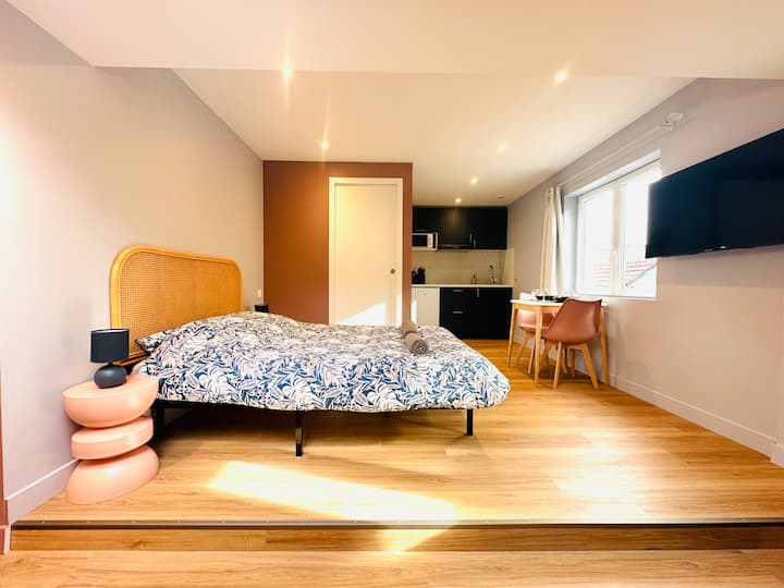 Maison Entière Avec 3 Logements Indépendants+cours - Le Mans
