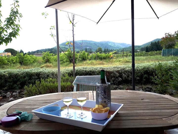 Maison Olivier - Vaison-la-Romaine