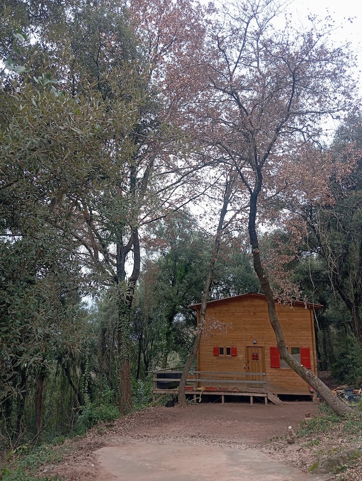 Cabanya De Fusta Amb Terrassa A La Muntanya - Besalú