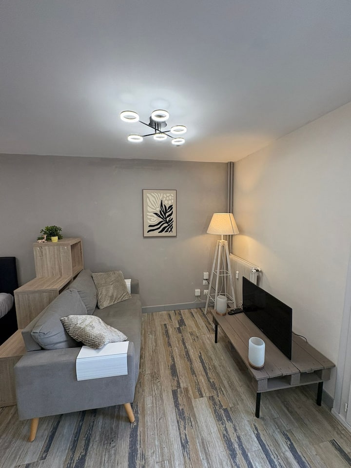 Studio Du Parc - Cosy Orléans Centre - Saran