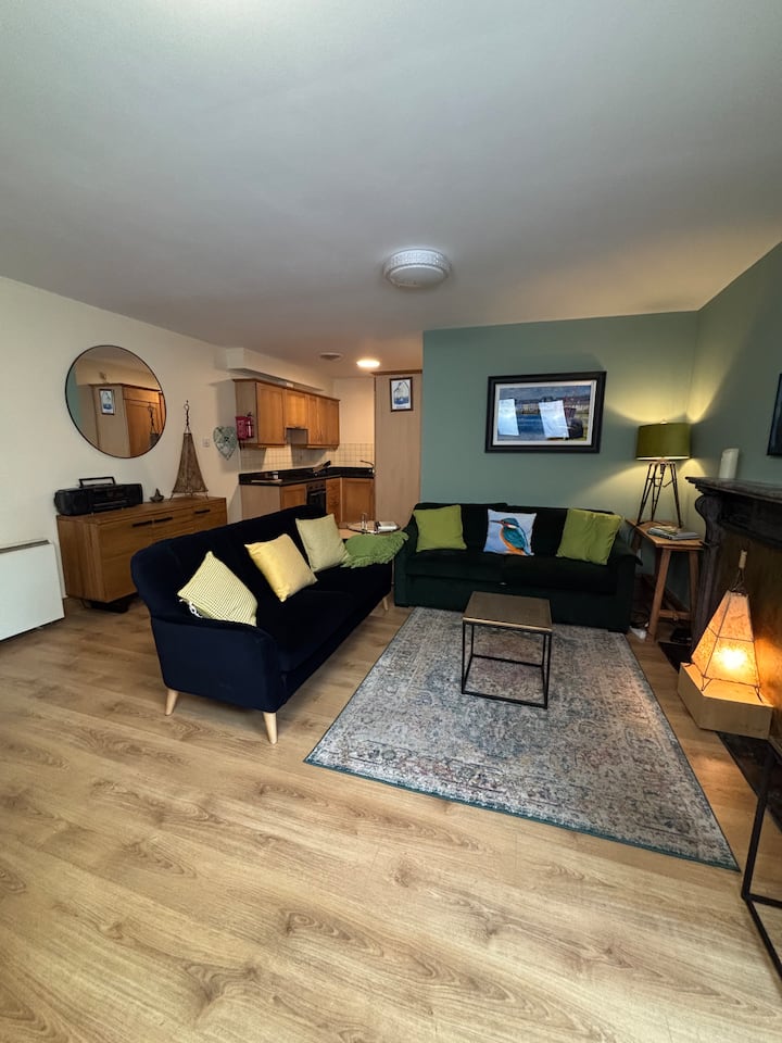 Kingfisher On The Corner - Galway