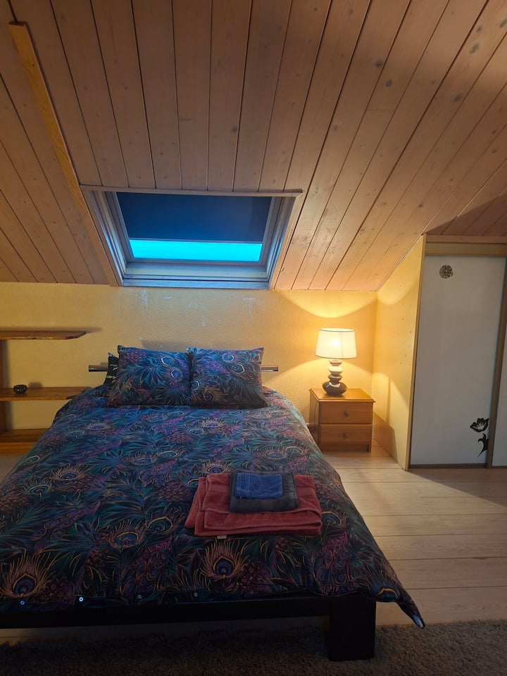 Grande Chambre Dans Les Combles - Ferney-Voltaire