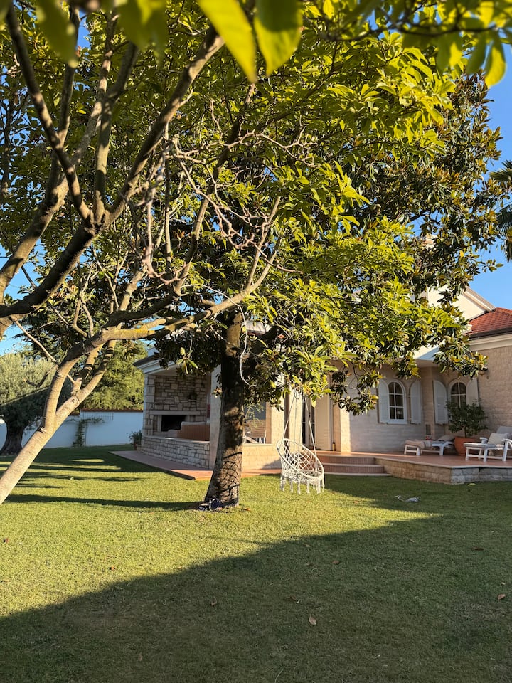 House M - Umag