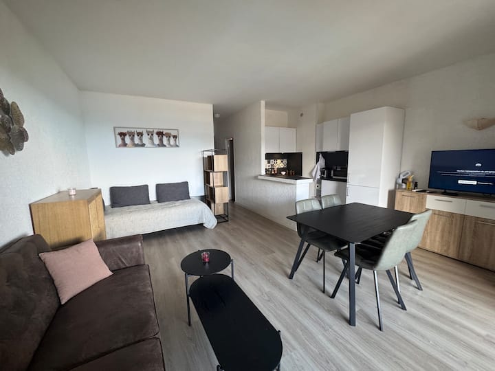 Appartement 2 Pièces Vue Mer - Calcatoggio