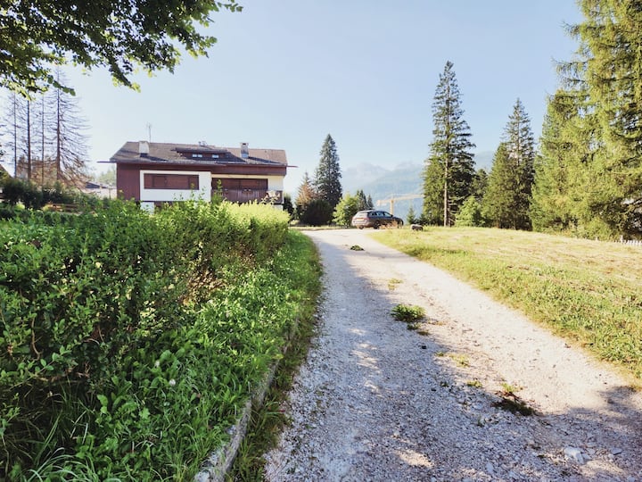 Appartamento Con Giardino E Parcheggio Privato. - Cortina d'Ampezzo