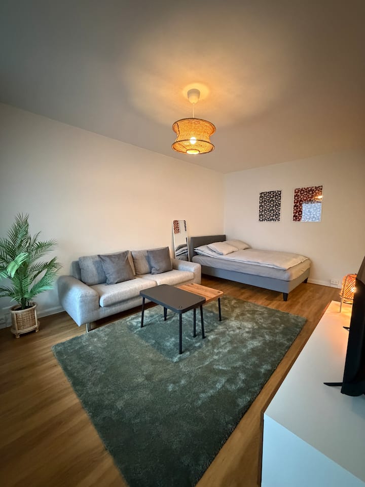 New Central 2 Room Apartment (No Cleaning Fees) - Helsinki