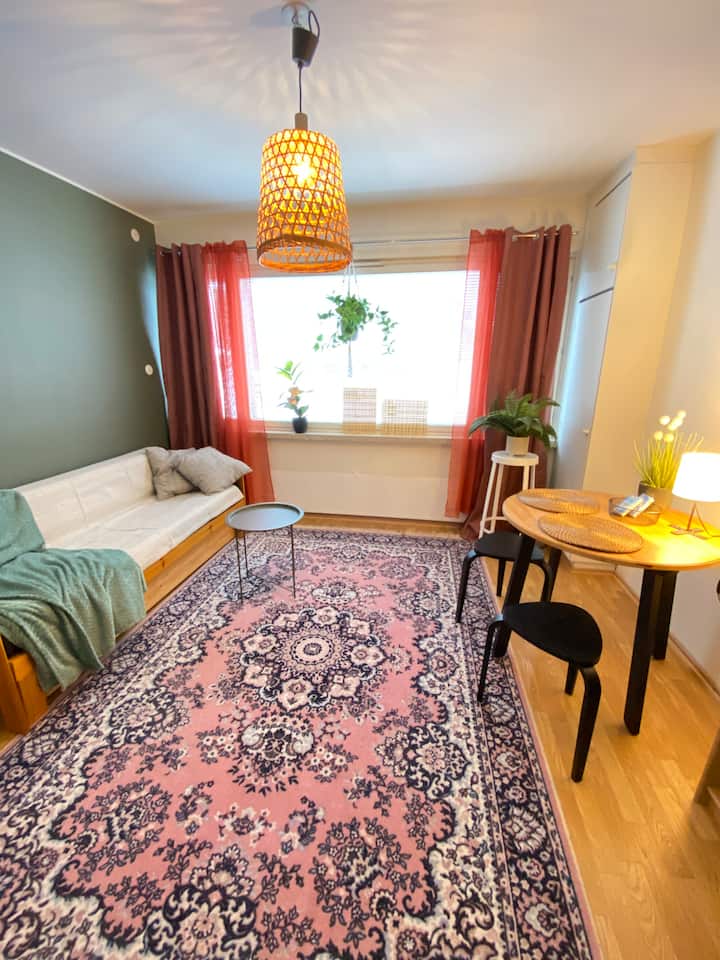 Kompakti Ja Viihtyisä Koti Keskellä Keskustaa - Keuruu