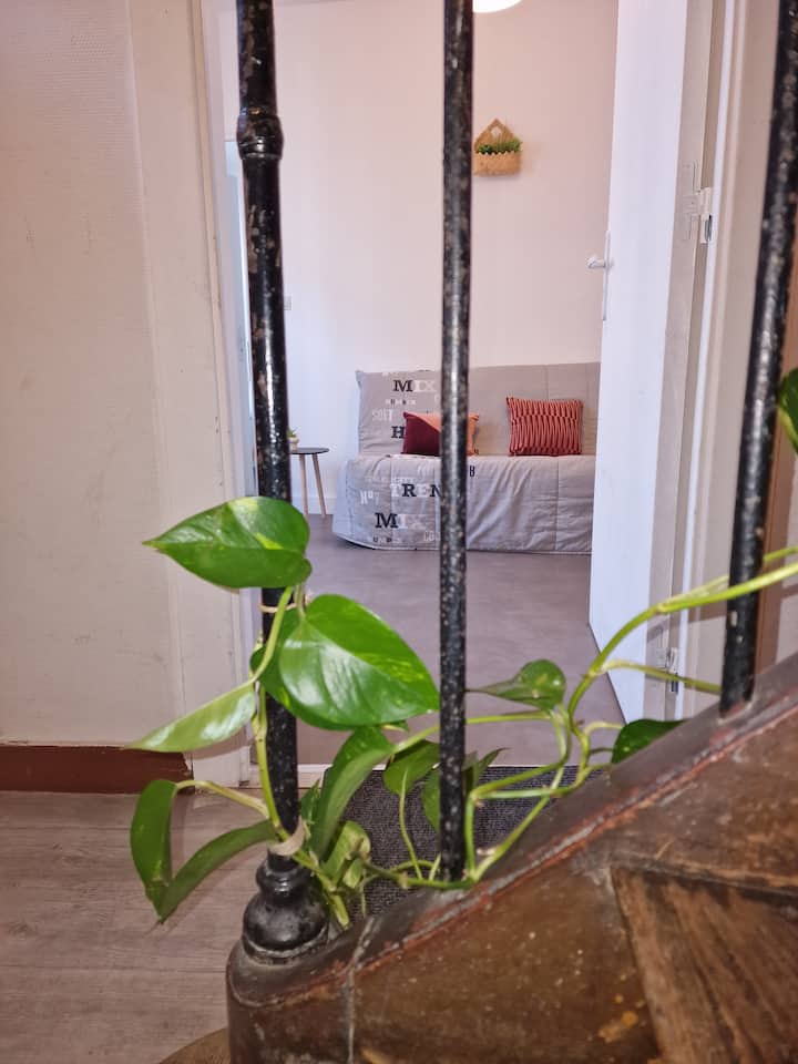 Appartement Rdc Au Centre-ville-calme-3 Voyageurs - Laval, France