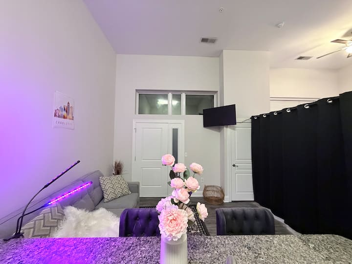 Allure Luxe Stay / Cozy Meets Luxury In Charlotte - Charlotte