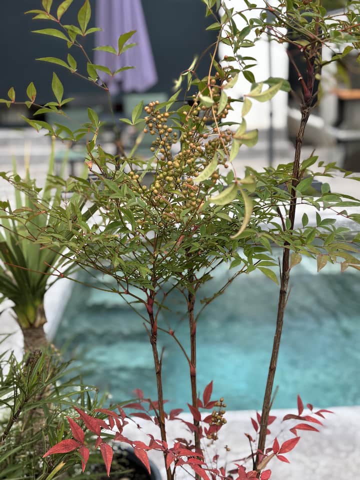 Villa Séréna Entre Terre Et Mer (Portiragnes) - Portiragnes