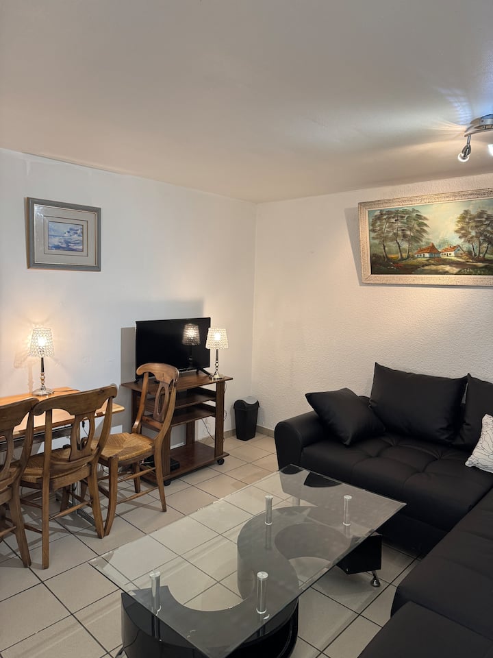 Apparemment 2 Pièces - Vaulx-en-Velin