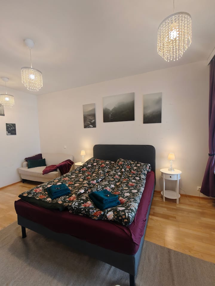 Viihtyisä Yksiö#sauna #Parveke#myöhäinen Varaus Ok - Kuopio