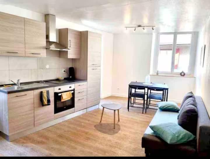 T2 à Meximieux Accès Rapide à La Cnpe Et Pipa - Meximieux