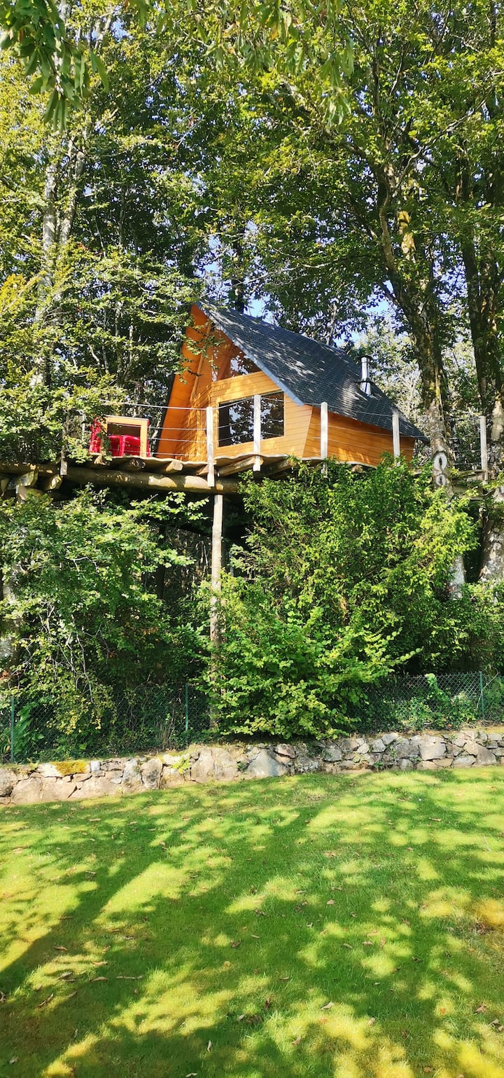 Cabane Perchée Dans Les Arbres - Plougastel-Daoulas