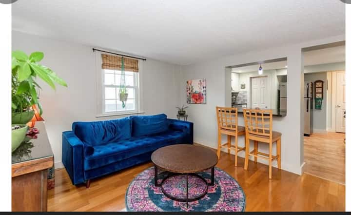 Charming Historic 1br Downtown Salem; Near Common - Salem, MA