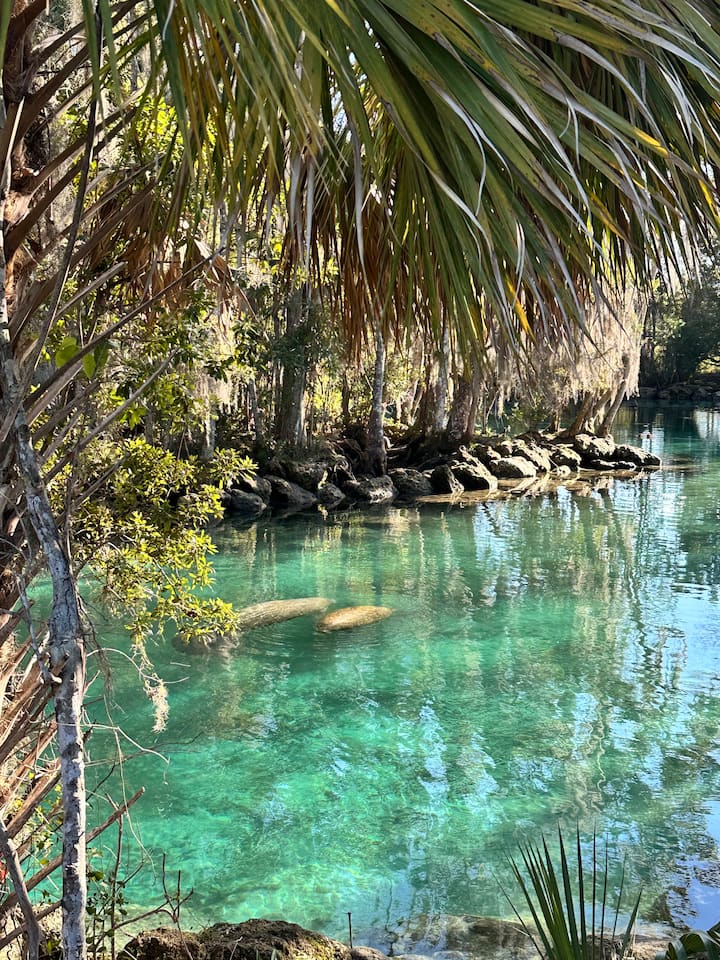 The Tarpon House On The Crystal River - Crystal River, FL