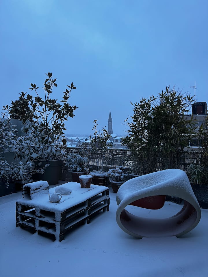 Grand Appartement / Centre De Lille / Terrasse - Lille