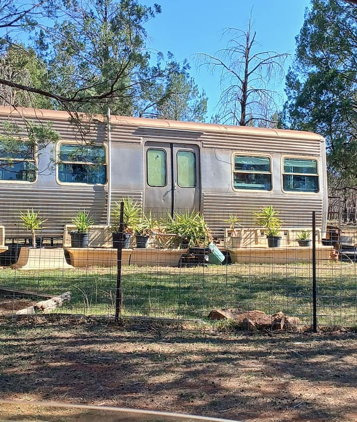 All Aboard! The Dubbo - Narromine Country Express - Dubbo